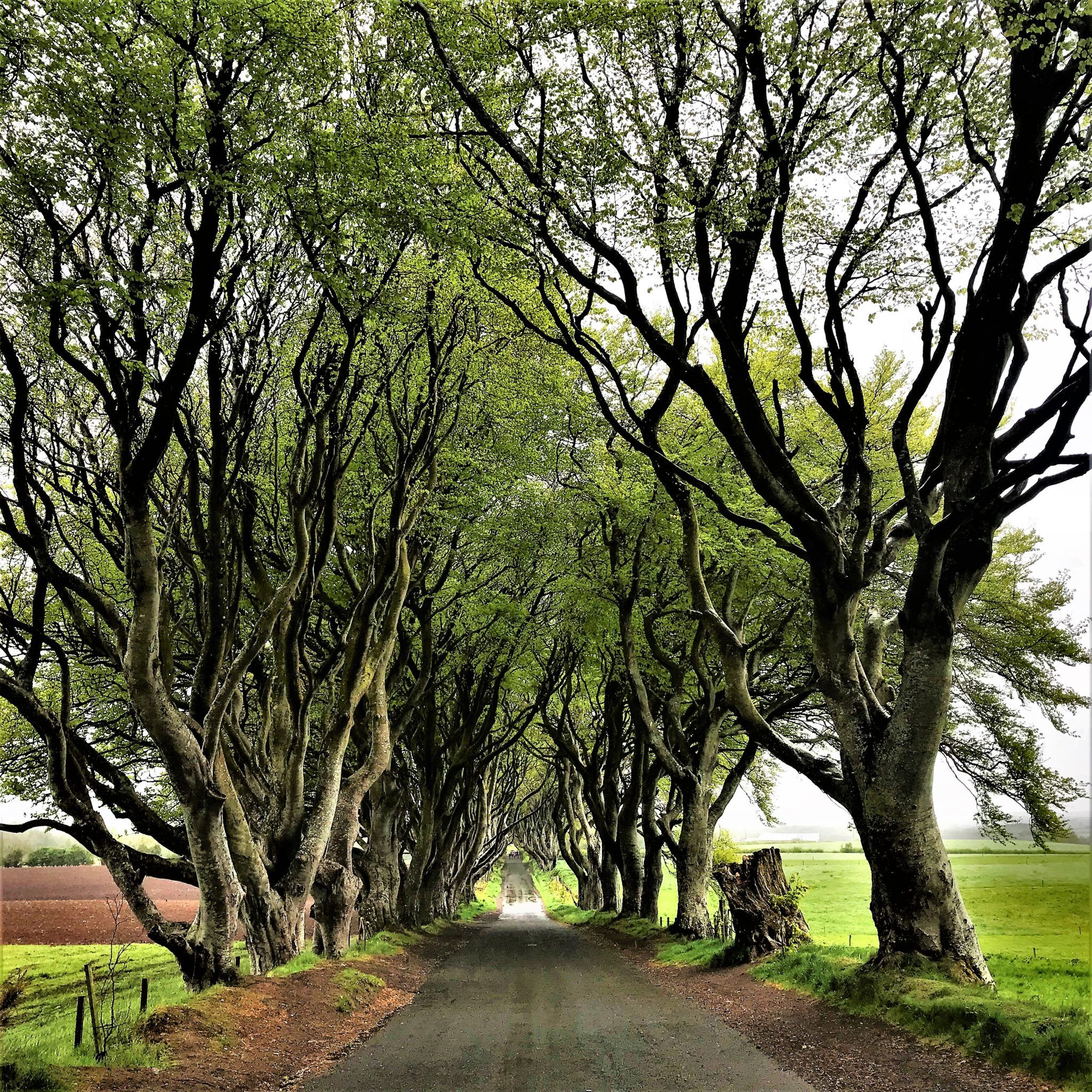 Our Expert Tips For Booking the Perfect Shore Excursions