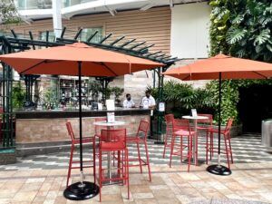 Complete Guide to the Amplified Oasis of the Seas Bars With Menus