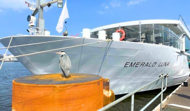 Emerald Cruises Review: Emerald Luna