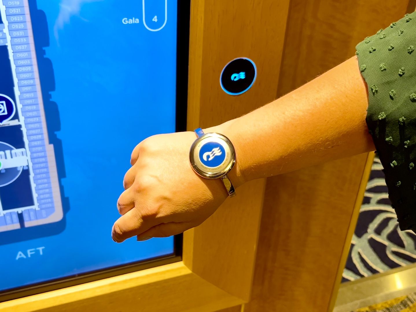 Princess Cruises Tips and Tricks Updated for 2023