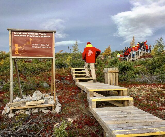 Complete Guide to Expedition Cruising