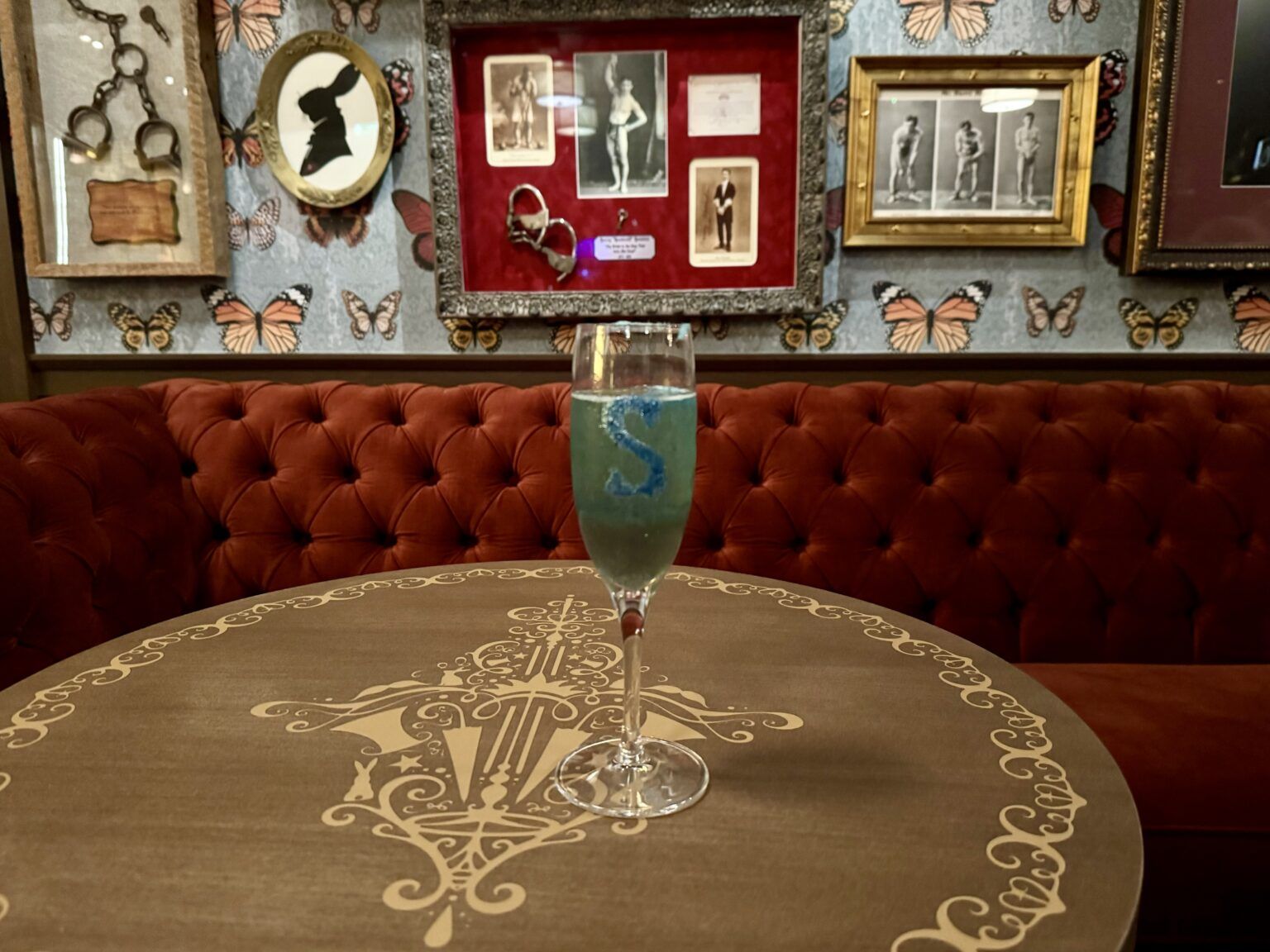 Complete Guide to Sun Princess Bars with Menus