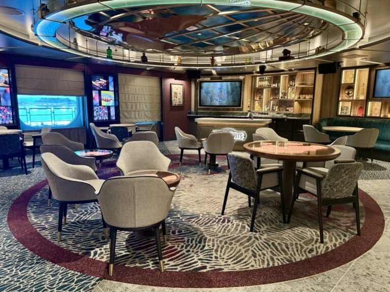 Complete Guide to Sun Princess Bars with Menus