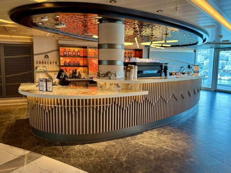 Complete Guide to Sun Princess Bars with Menus