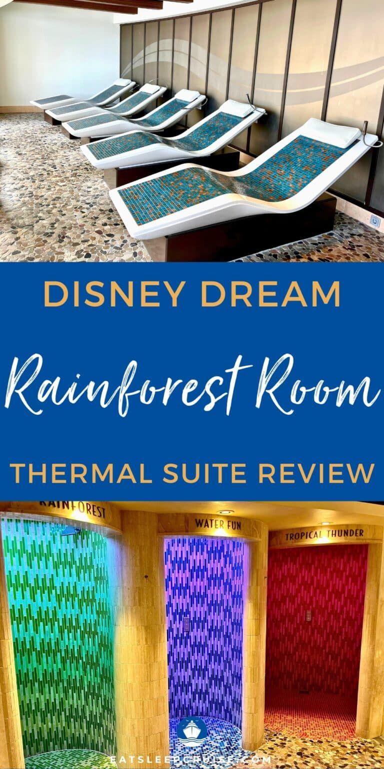 We Tested Out the Disney Dream Rainforest Room - Was It Worth It?