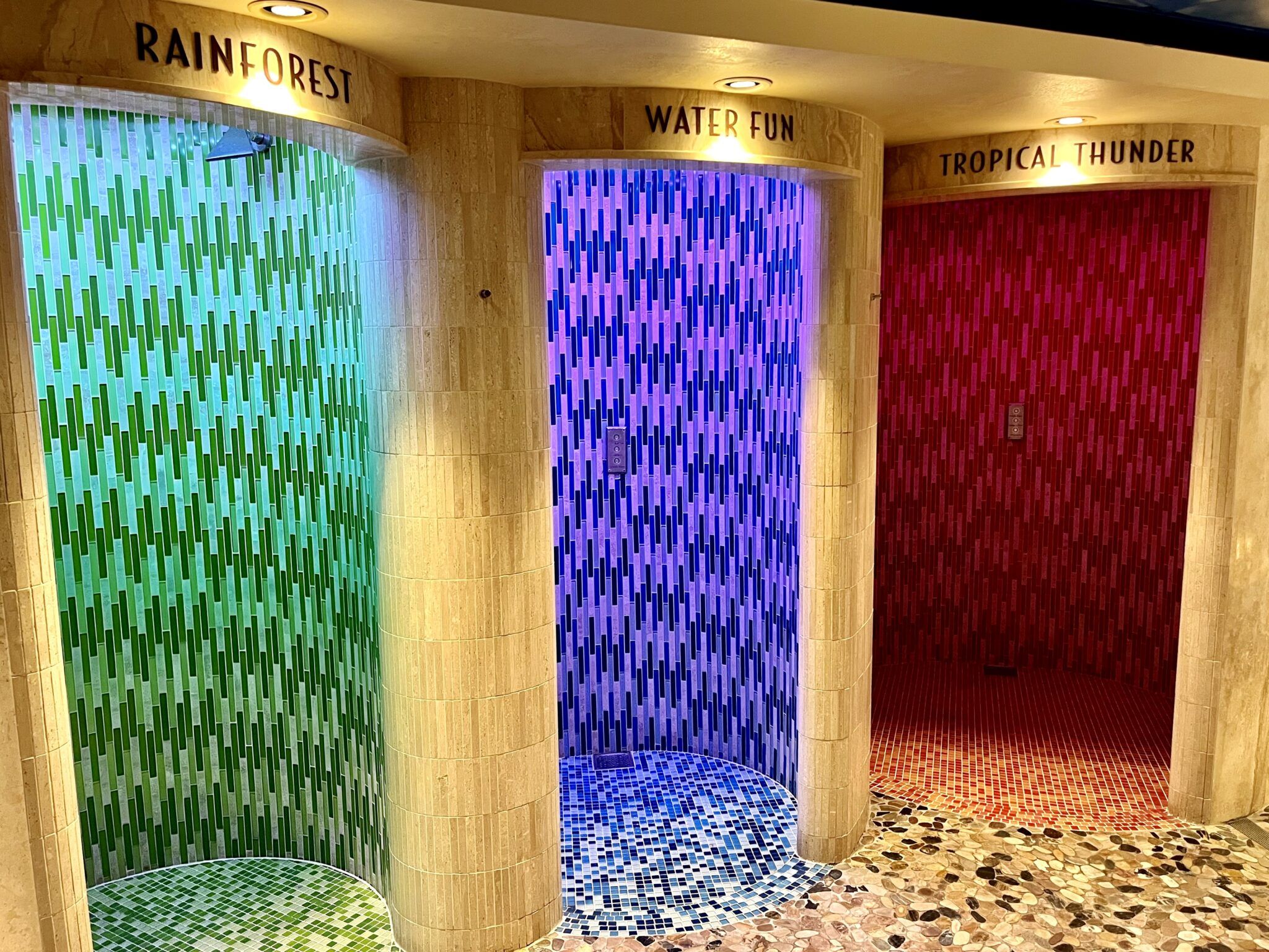 We Tested Out the Disney Dream Rainforest Room - Was It Worth It?