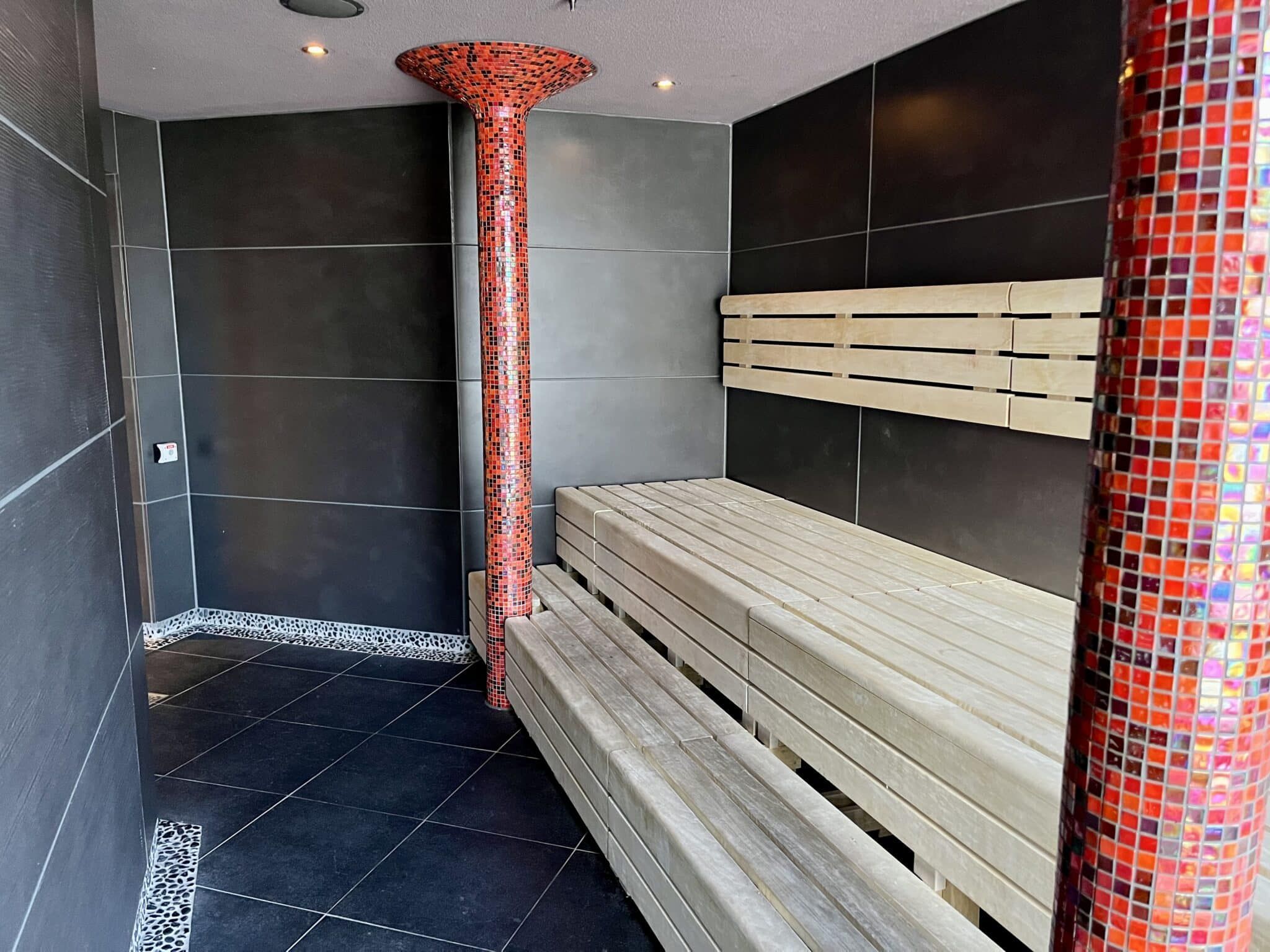 We Tested Out the Disney Dream Rainforest Room - Was It Worth It?