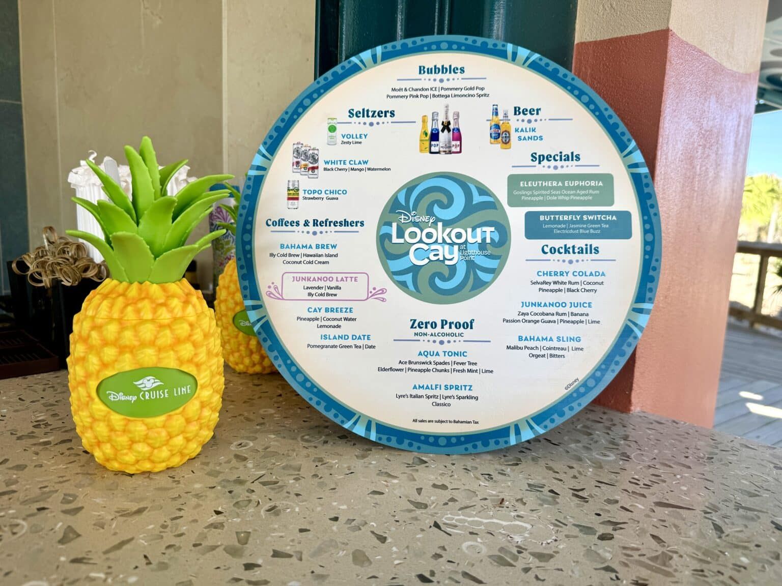 We Just Returned From Disney's Newest Private Destination and Share ...