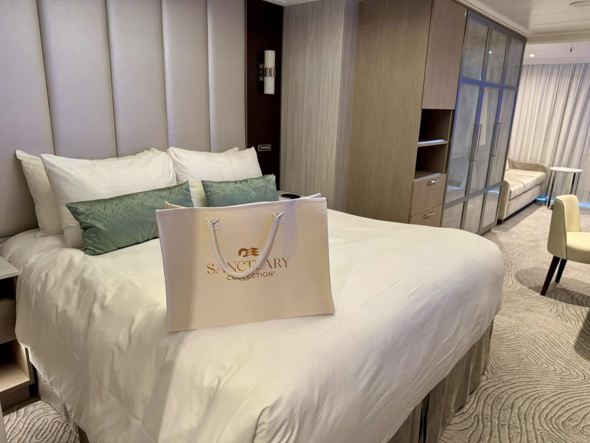 We Stayed in a Sun Princess Sanctuary Mini Suite - Here's Our Review