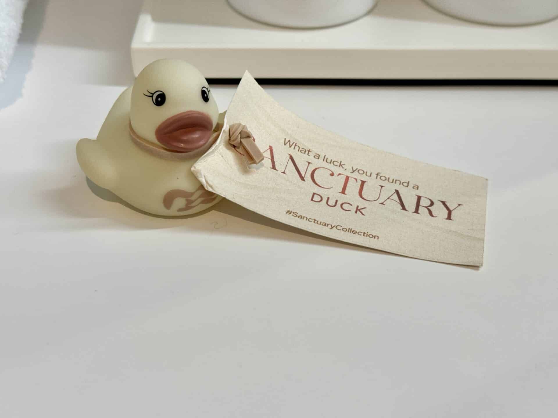 Sun Princess Sanctuary Collection - Is It Worth It?