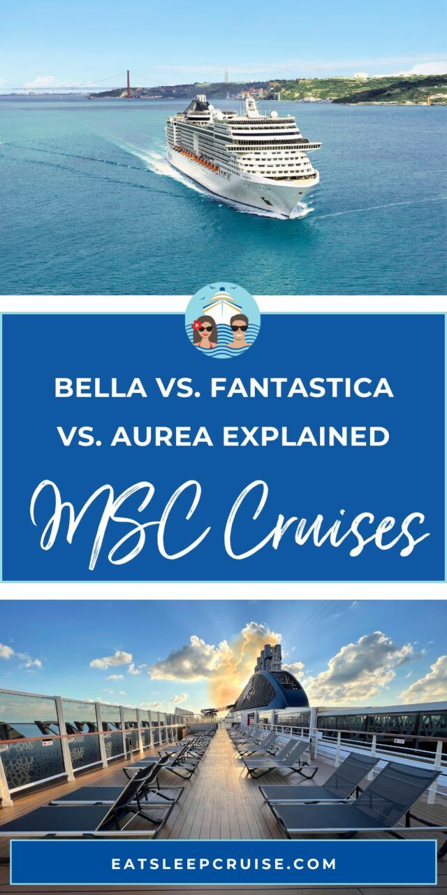 Comparing the 3 MSC Experience Levels: Which is Right for You?