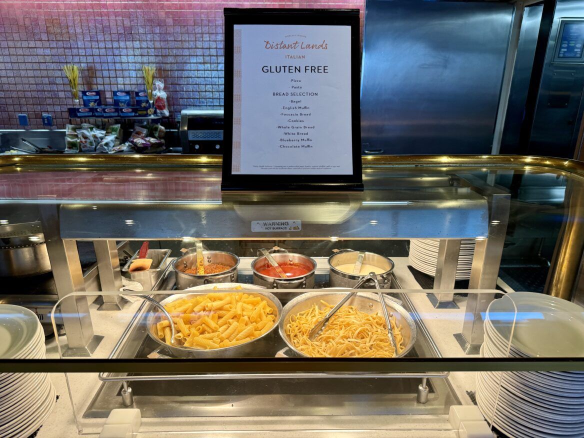 We are Back with Our Honest Holland America Westerdam Review