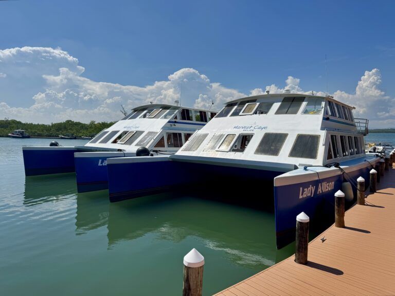 Harvest Caye, Belize: Complete Guide to Norwegian Cruise Line's Private ...