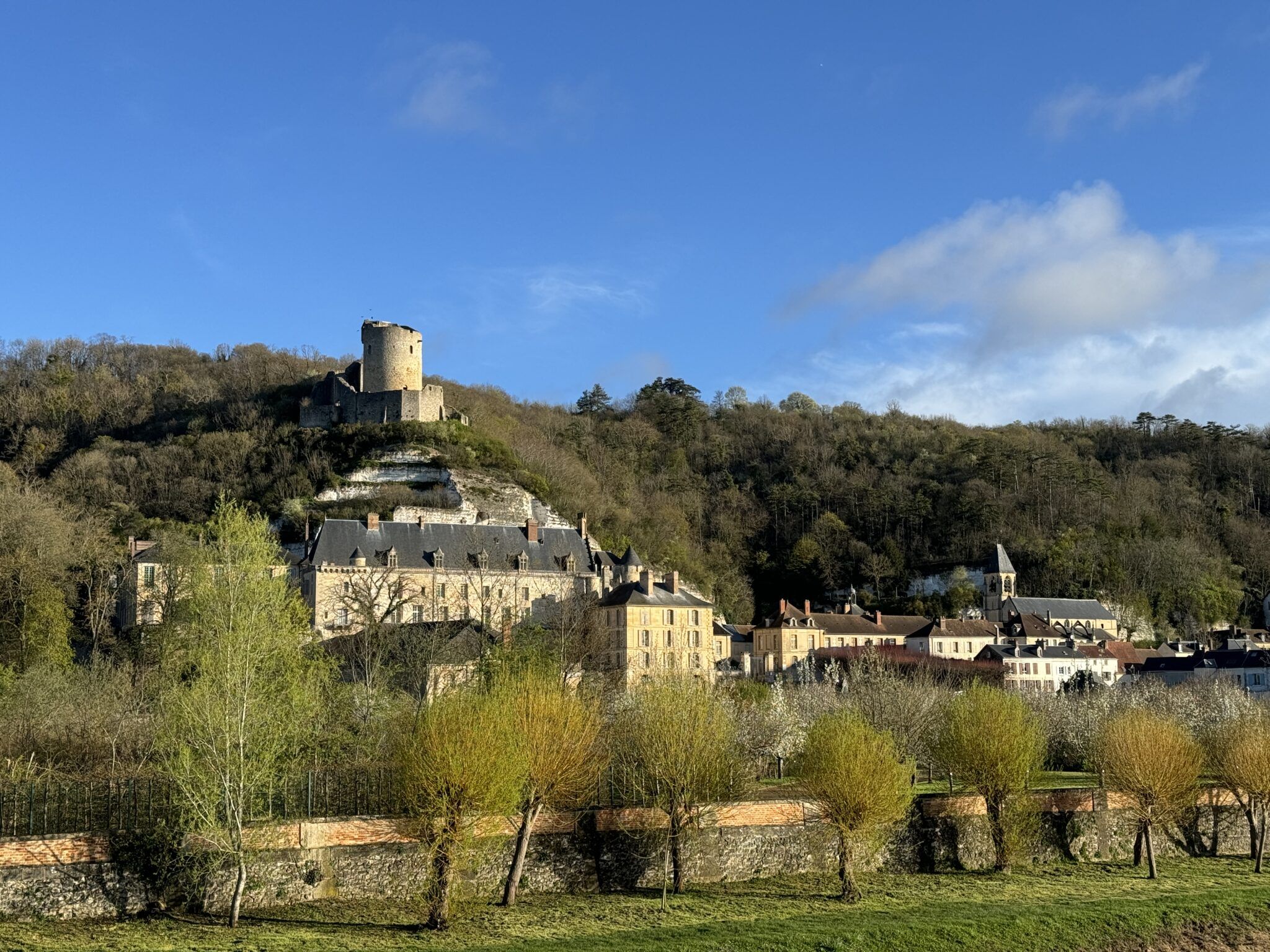 River Cruises vs. Ocean Cruises: A Comparison Guide