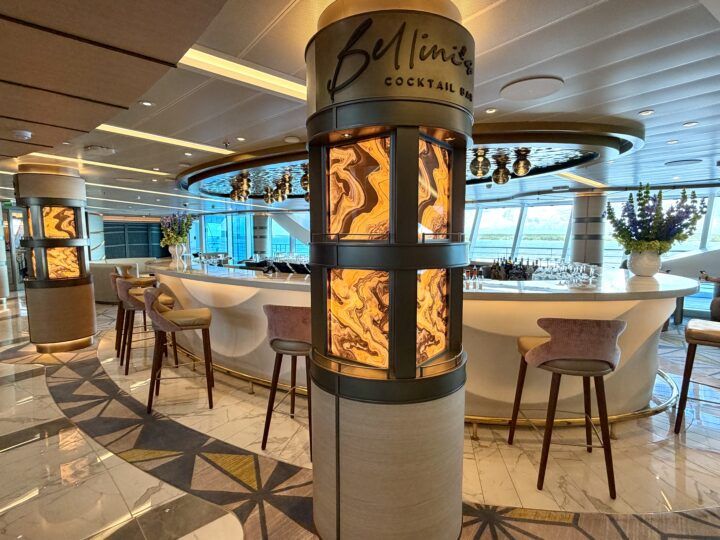 Star Princess Bars: Complete Guide With Menus and Drink Prices