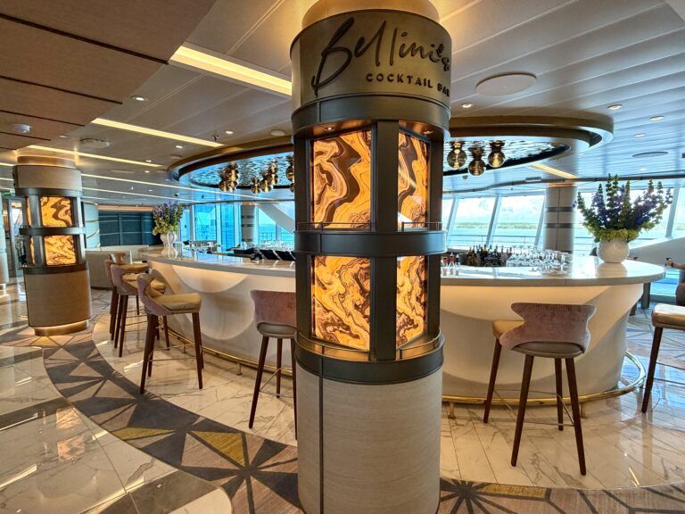 Star Princess Bars: Complete Guide With Menus and Drink Prices