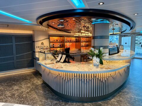 Star Princess Bars: Complete Guide With Menus and Drink Prices