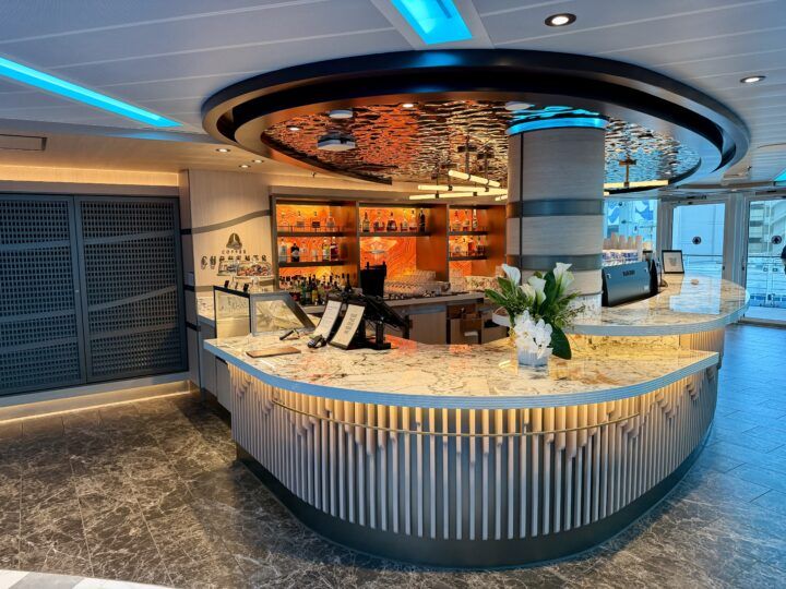 Star Princess Bars: Complete Guide With Menus and Drink Prices