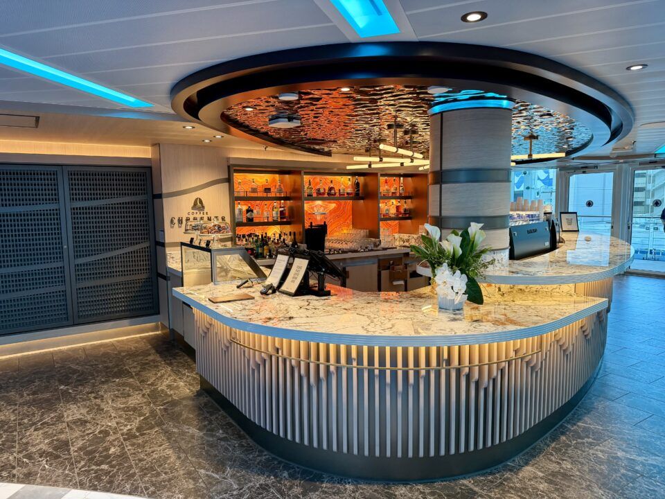 Star Princess Bars: Complete Guide With Menus and Drink Prices